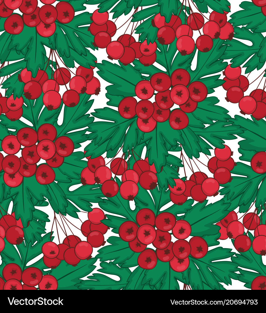 Seamless pattern leaves and ripe autumn red Vector Image