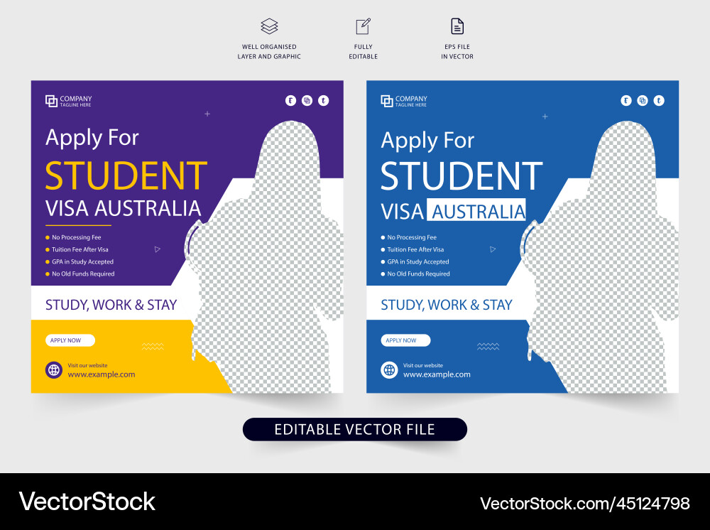 Abroad scholarship and education facilities Vector Image