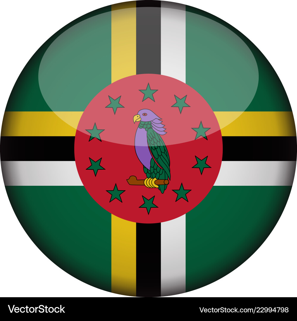 Dominica flag in glossy round button icon Vector Image