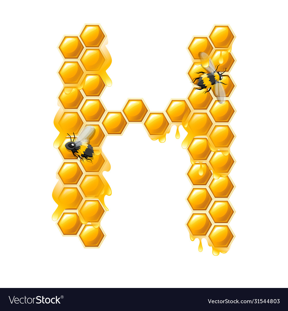 Honeycomb letter h with honey drops and bee flat Vector Image