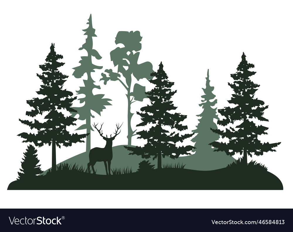 Forest pine Royalty Free Vector Image - VectorStock
