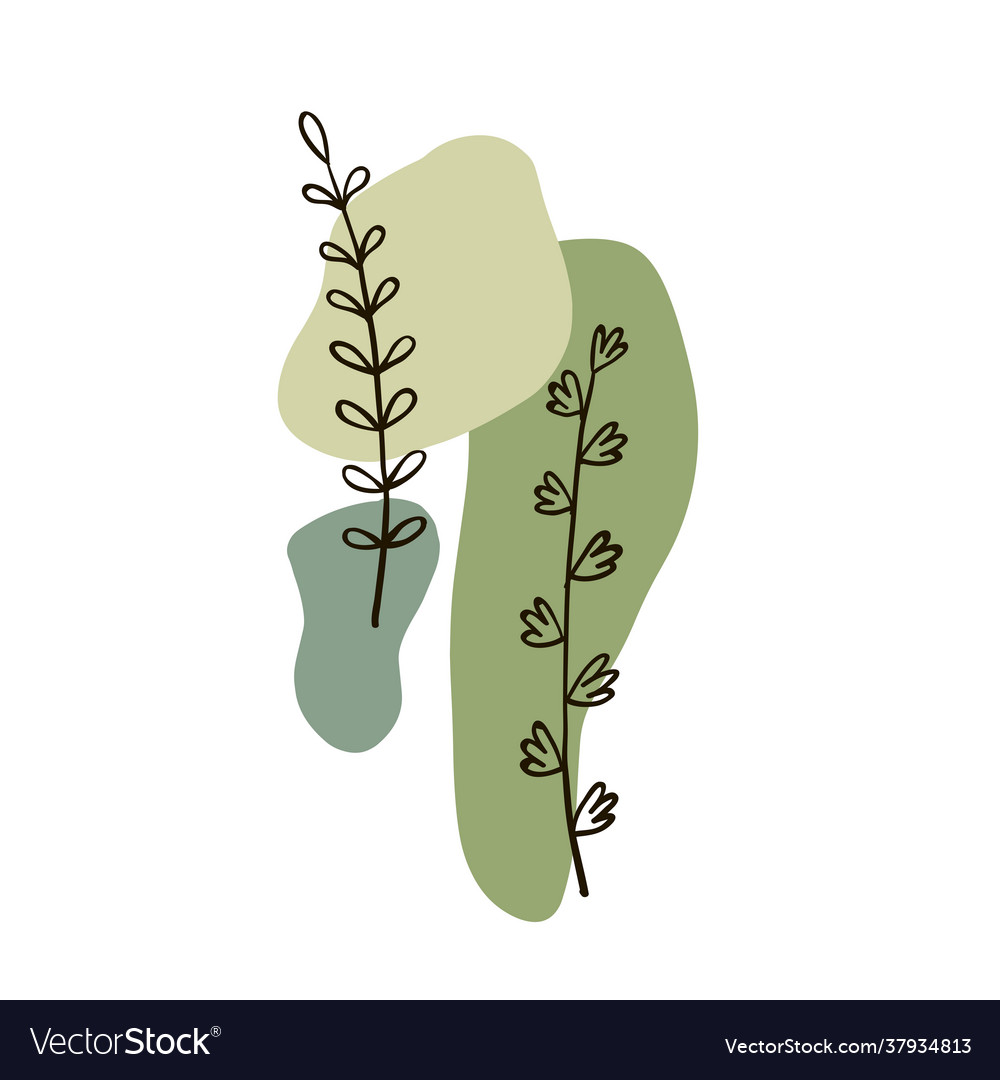 Modern plant elements background Royalty Free Vector Image