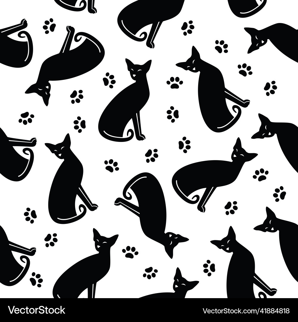 Black cats and traces on white background Vector Image