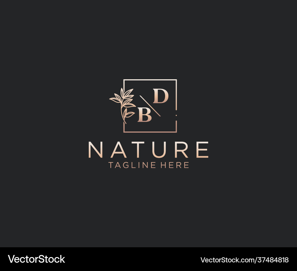 Initial db letters beautiful floral feminine Vector Image