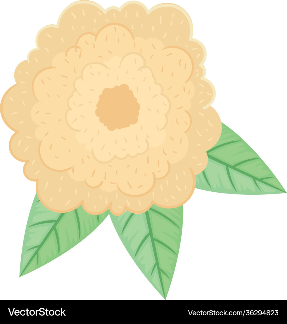 Cute cream clor petals flower and leafs spring Vector Image