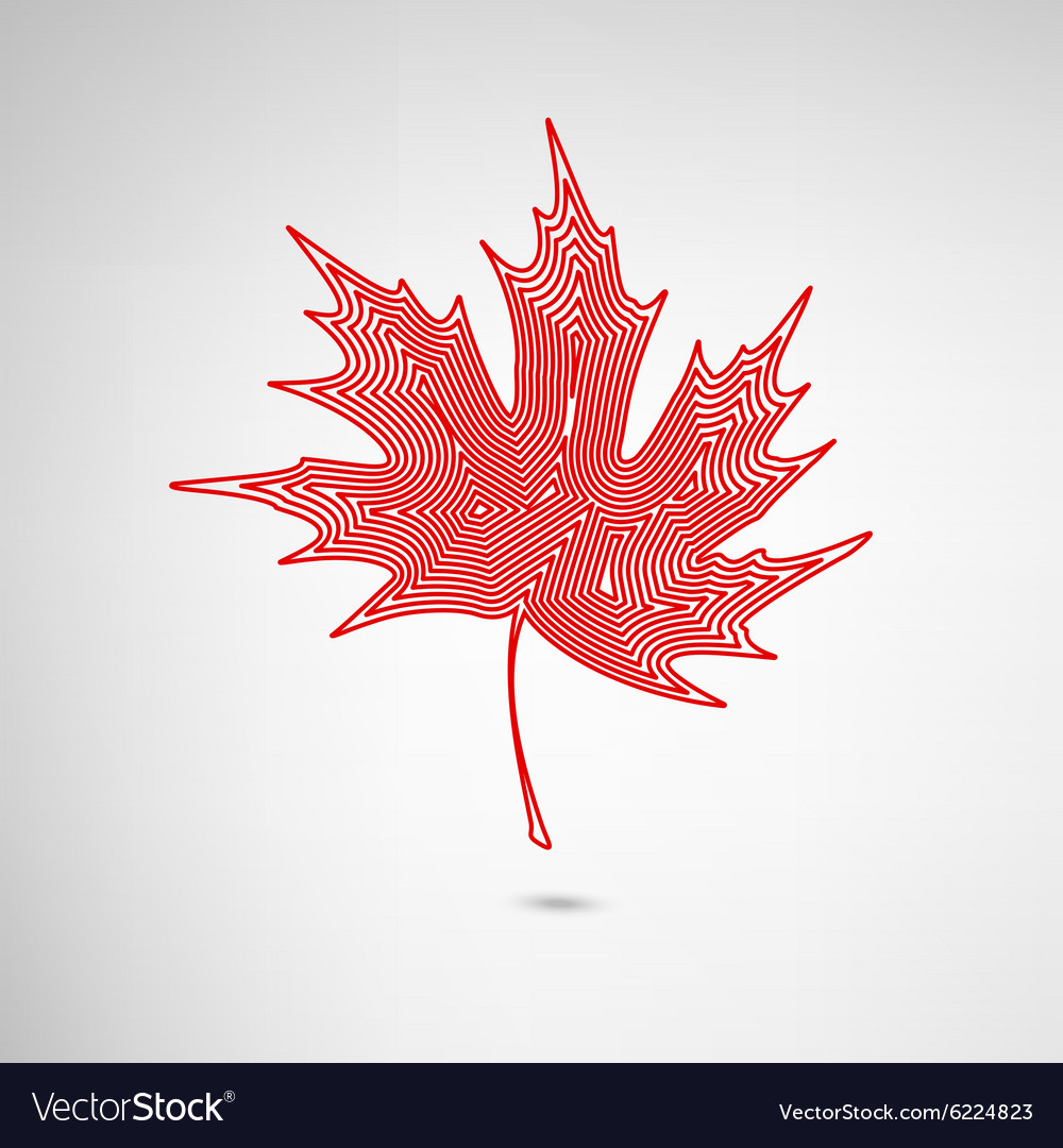 Maple leaf lined Royalty Free Vector Image - VectorStock