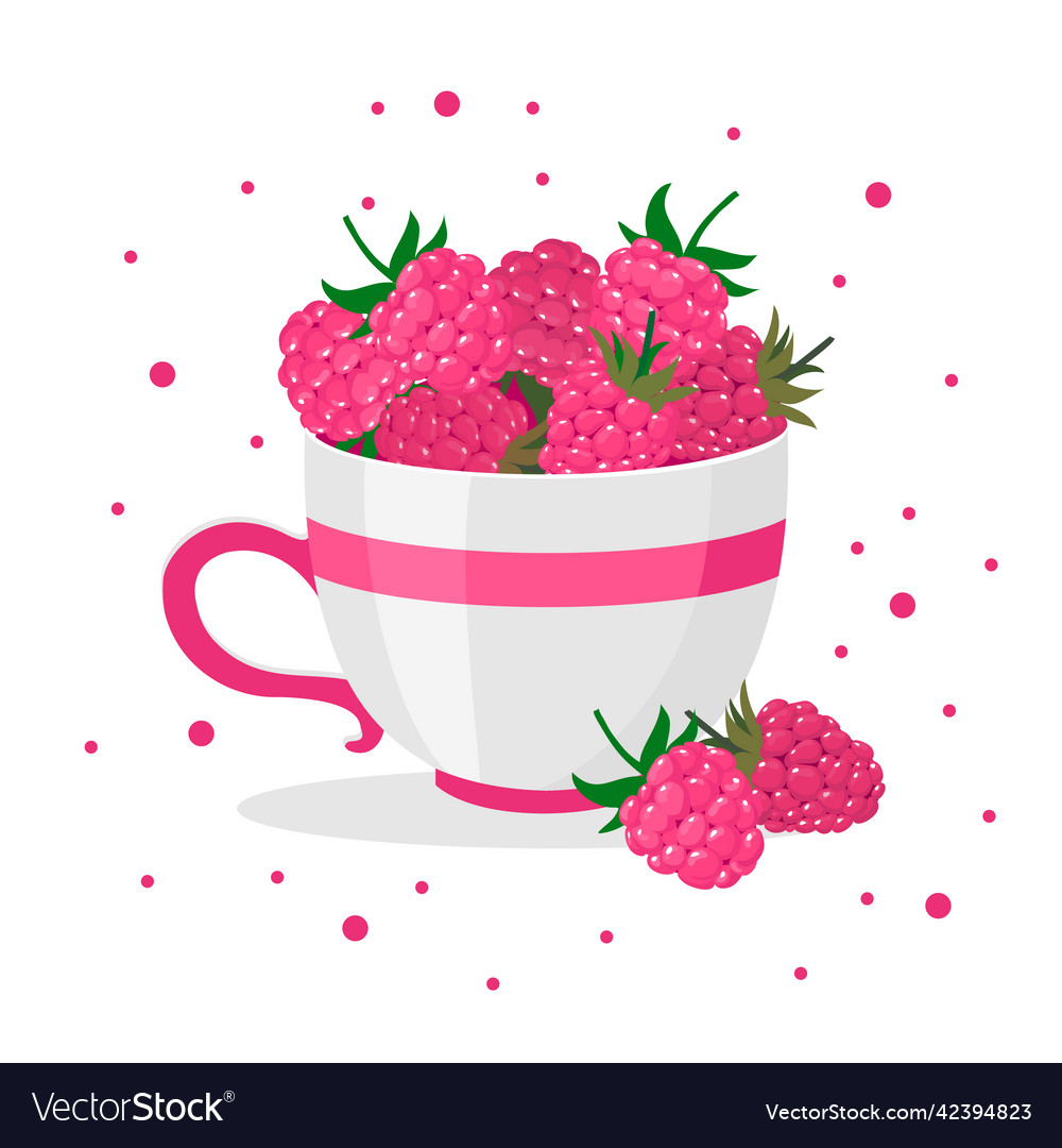 Raspberry cup Royalty Free Vector Image - VectorStock
