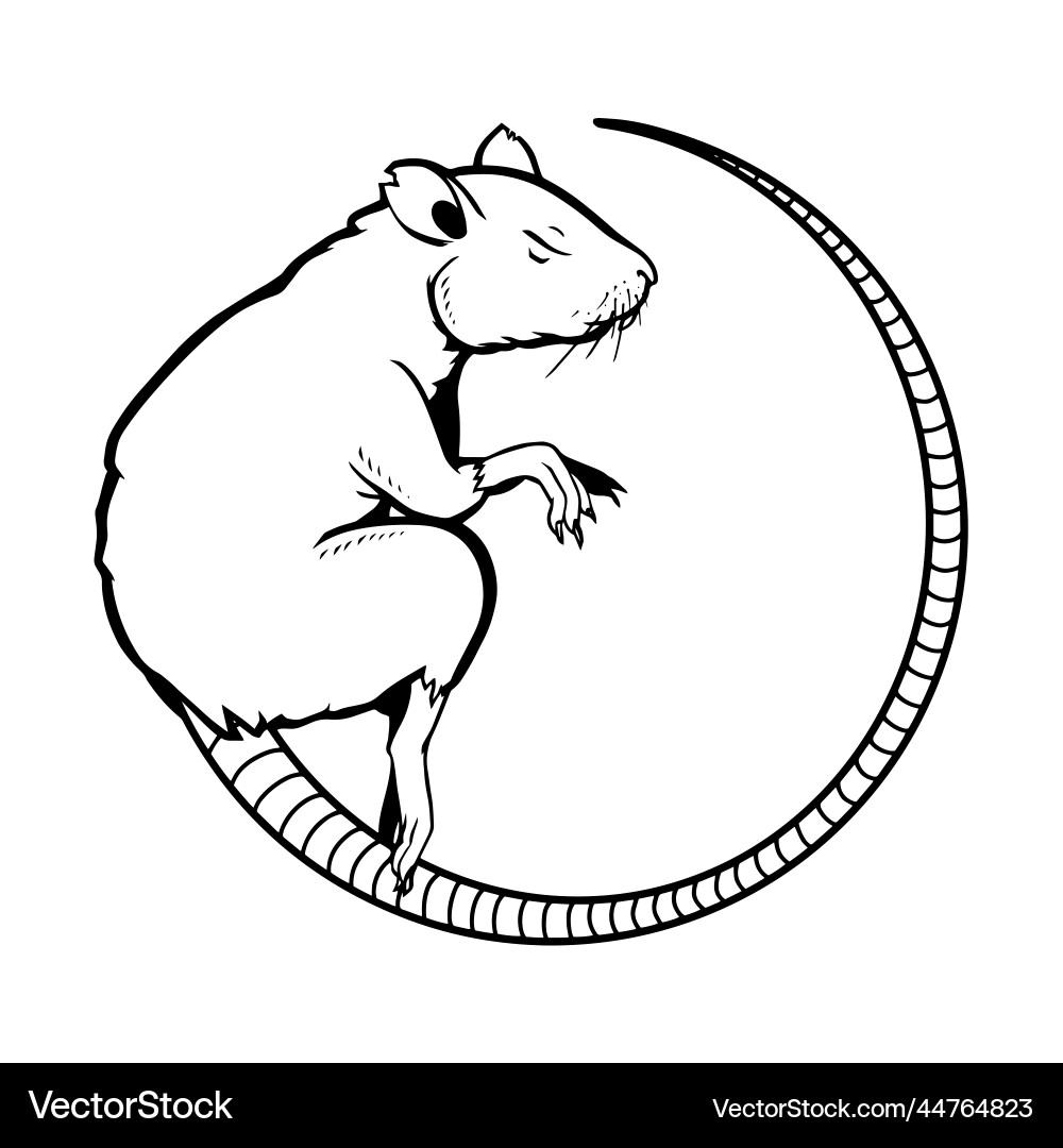 Sleeping rat in zen and ouroboros Royalty Free Vector Image
