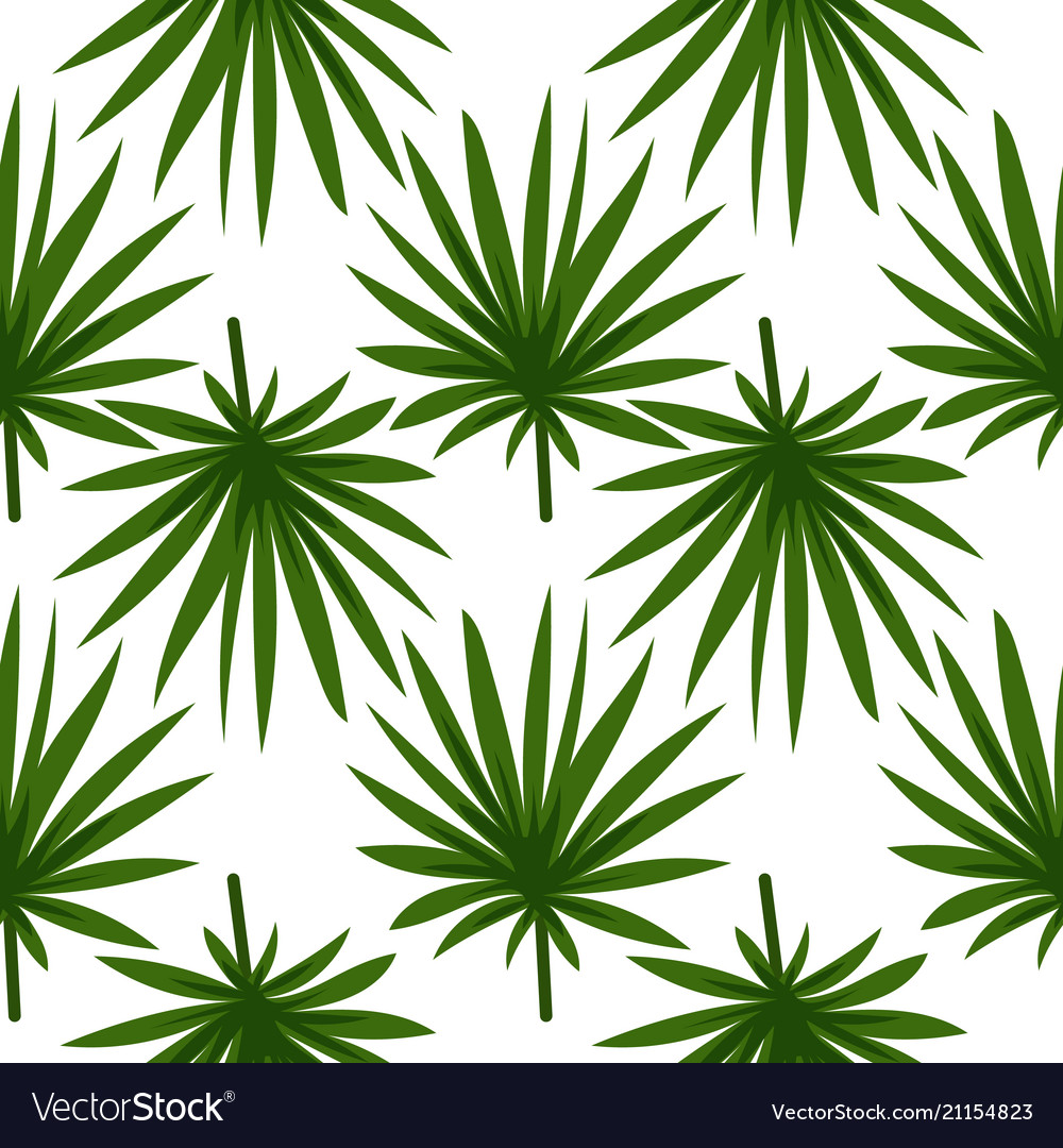 Summer tropical seamless pattern Royalty Free Vector Image