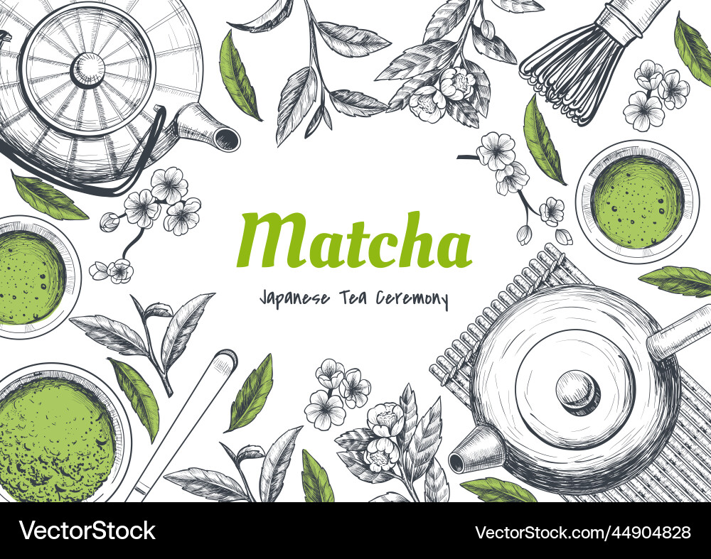 Frame with tea japanese tea ceremony matcha tea Vector Image