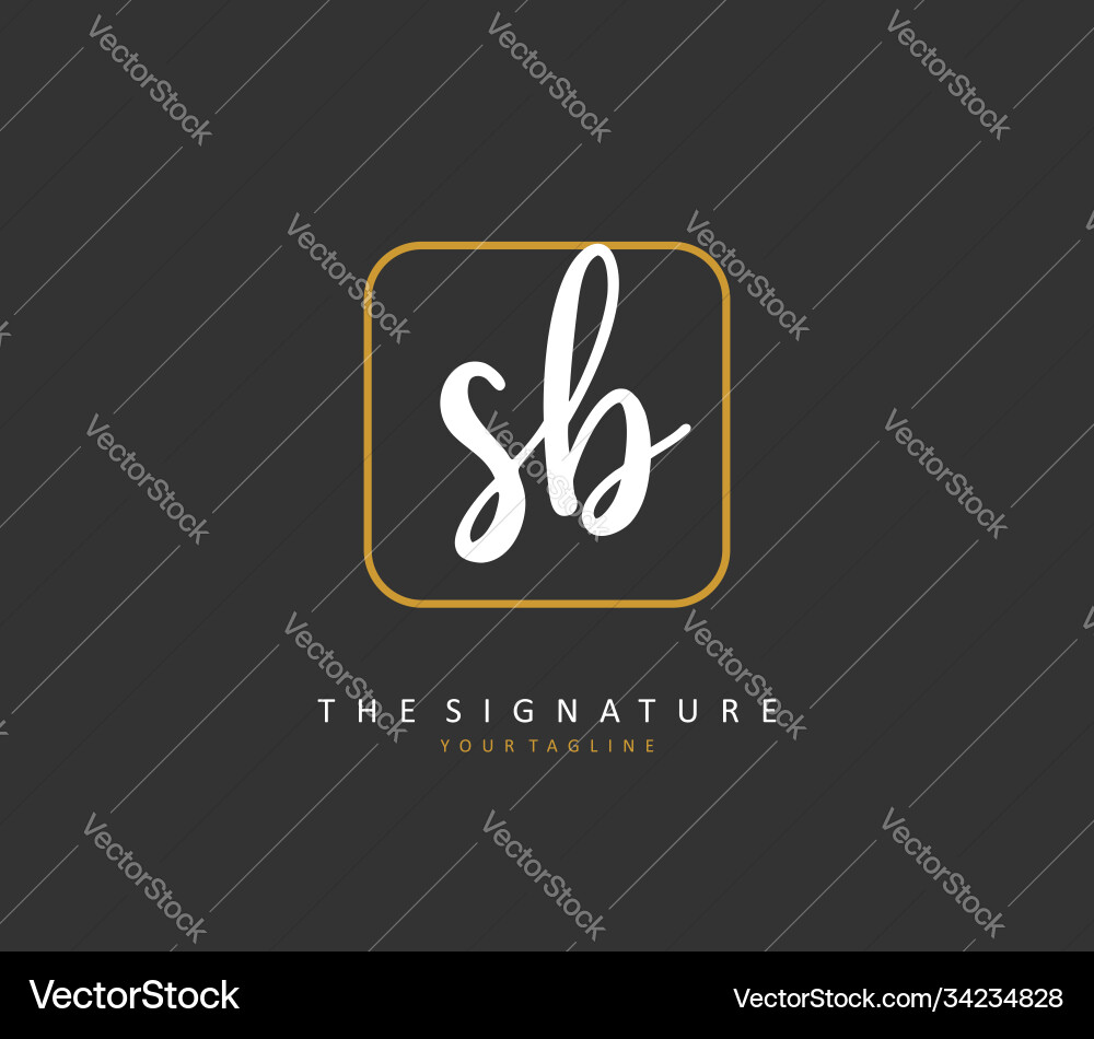 S b sb initial letter handwriting and signature Vector Image