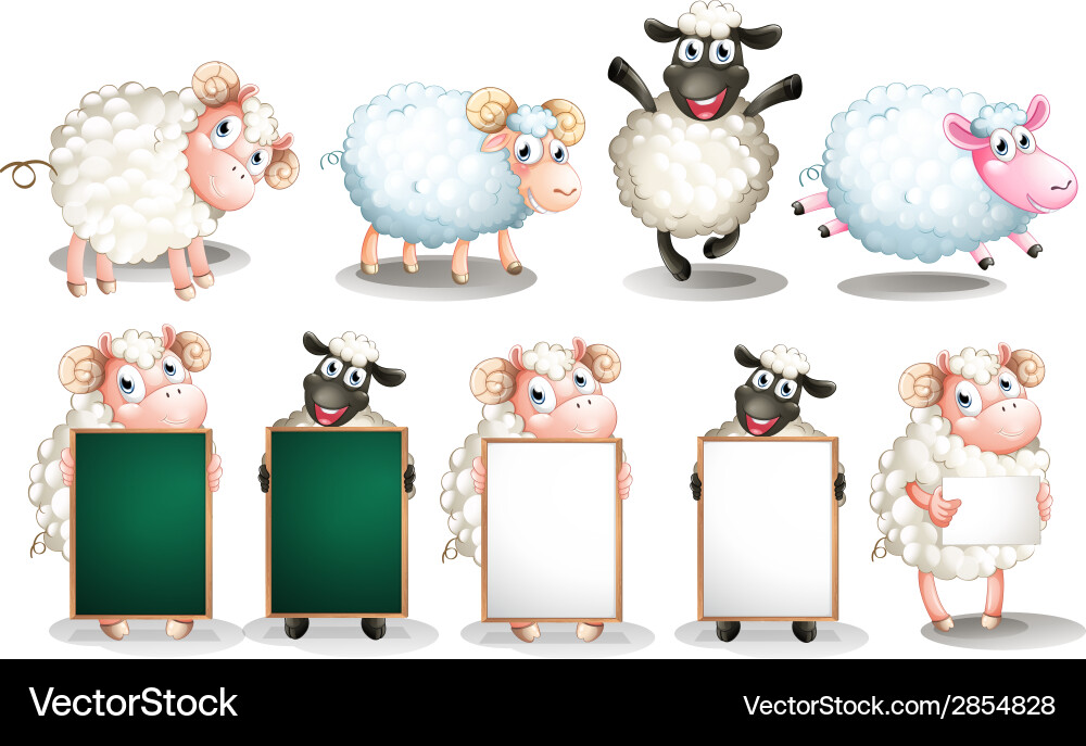 Sheep set Royalty Free Vector Image - VectorStock