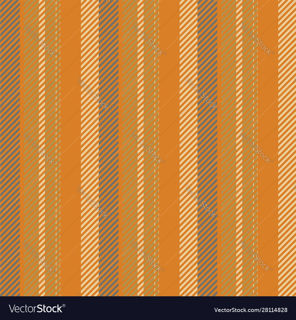 Stripes pattern striped background stripe Vector Image