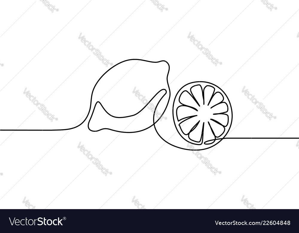 Continuous one line draw lemon lime fruits Vector Image Continuous one line draw lemon lime fruits Vector Image