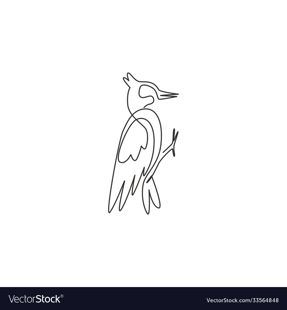 Single continuous line drawing beauty Royalty Free Vector Single continuous line drawing beauty Royalty Free Vector