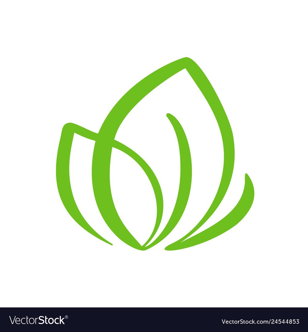 Logo Of Green Leaf Tea Ecology Nature Element Vector Image