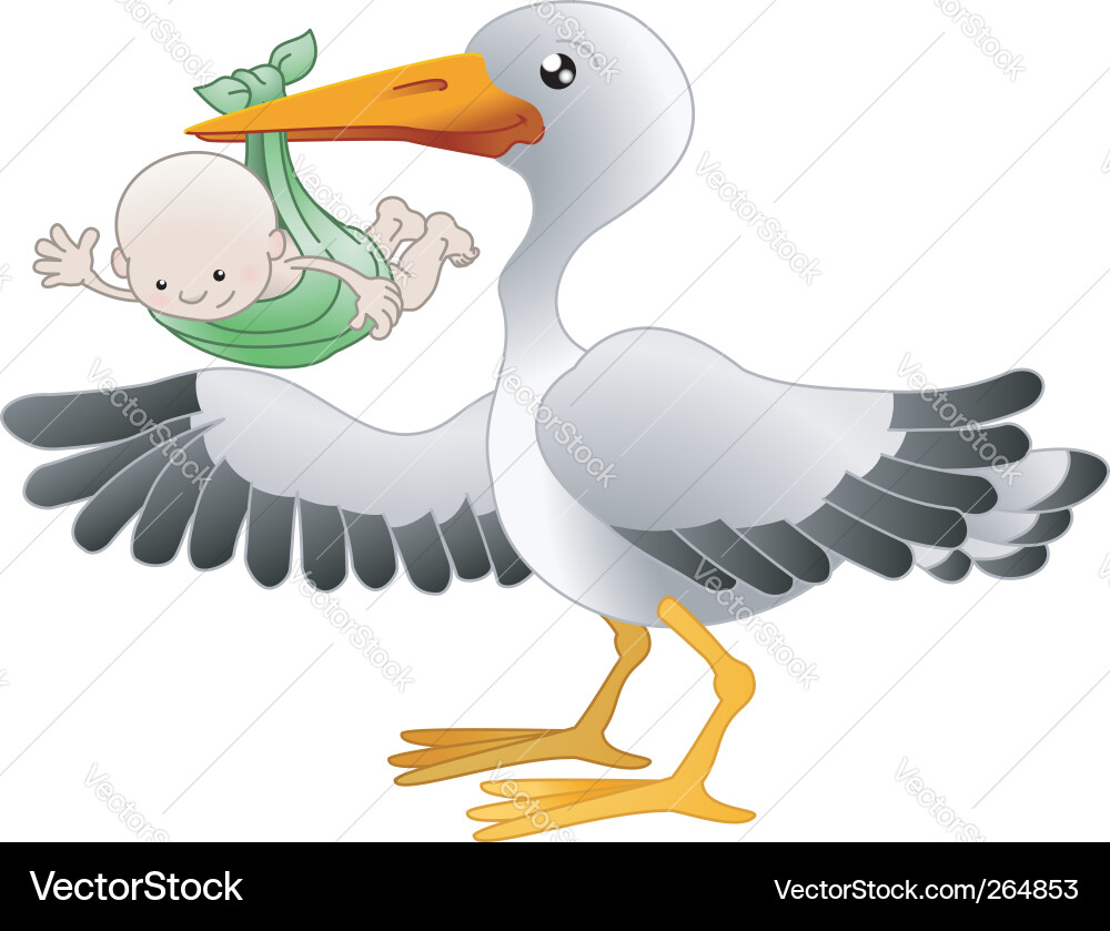 Stork with a newborn baby Royalty Free Vector Image