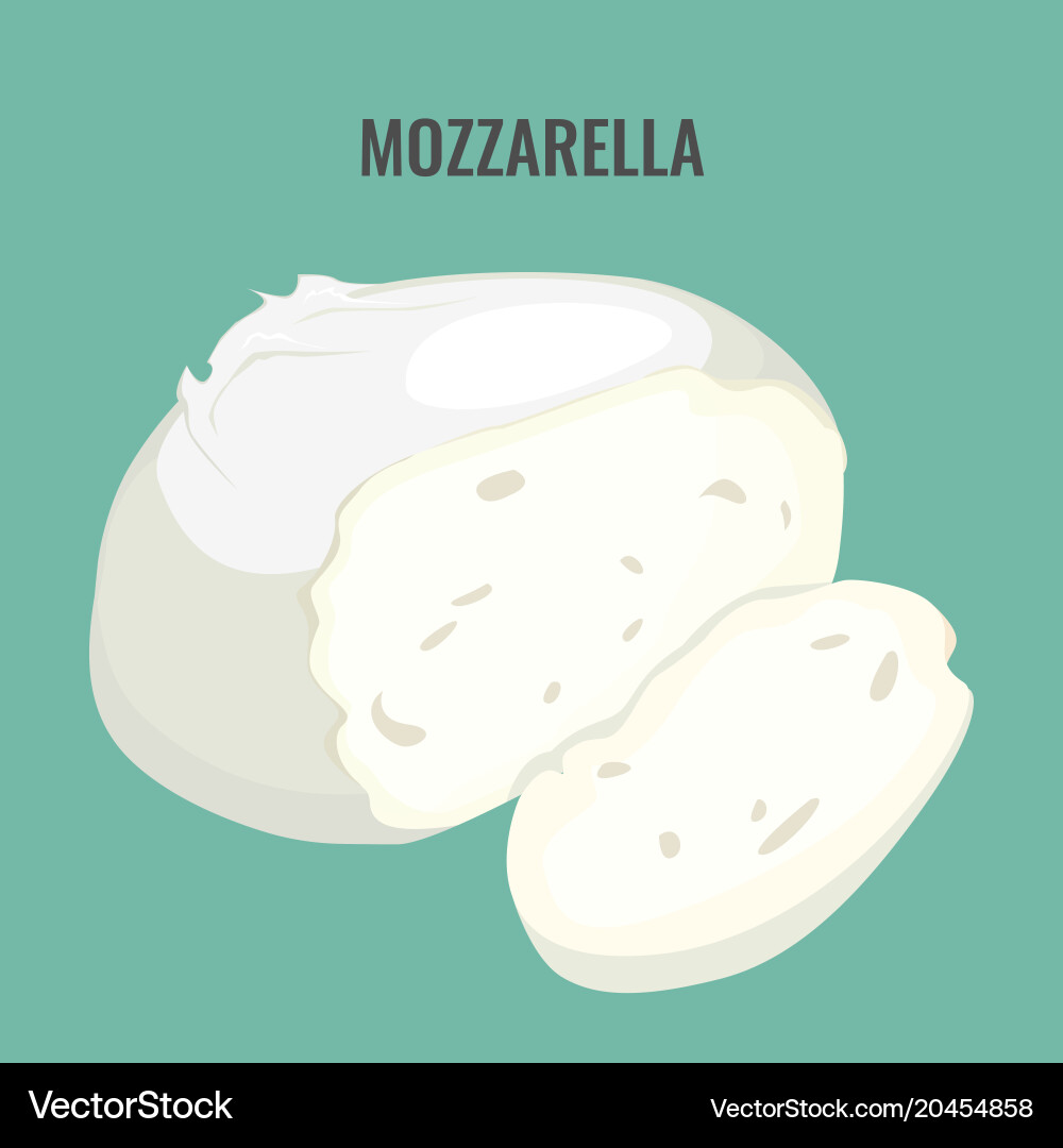 Mozzarella cheese big piece isolated on blue Vector Image