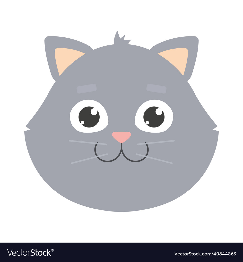 Gray cat face Royalty Free Vector Image - VectorStock