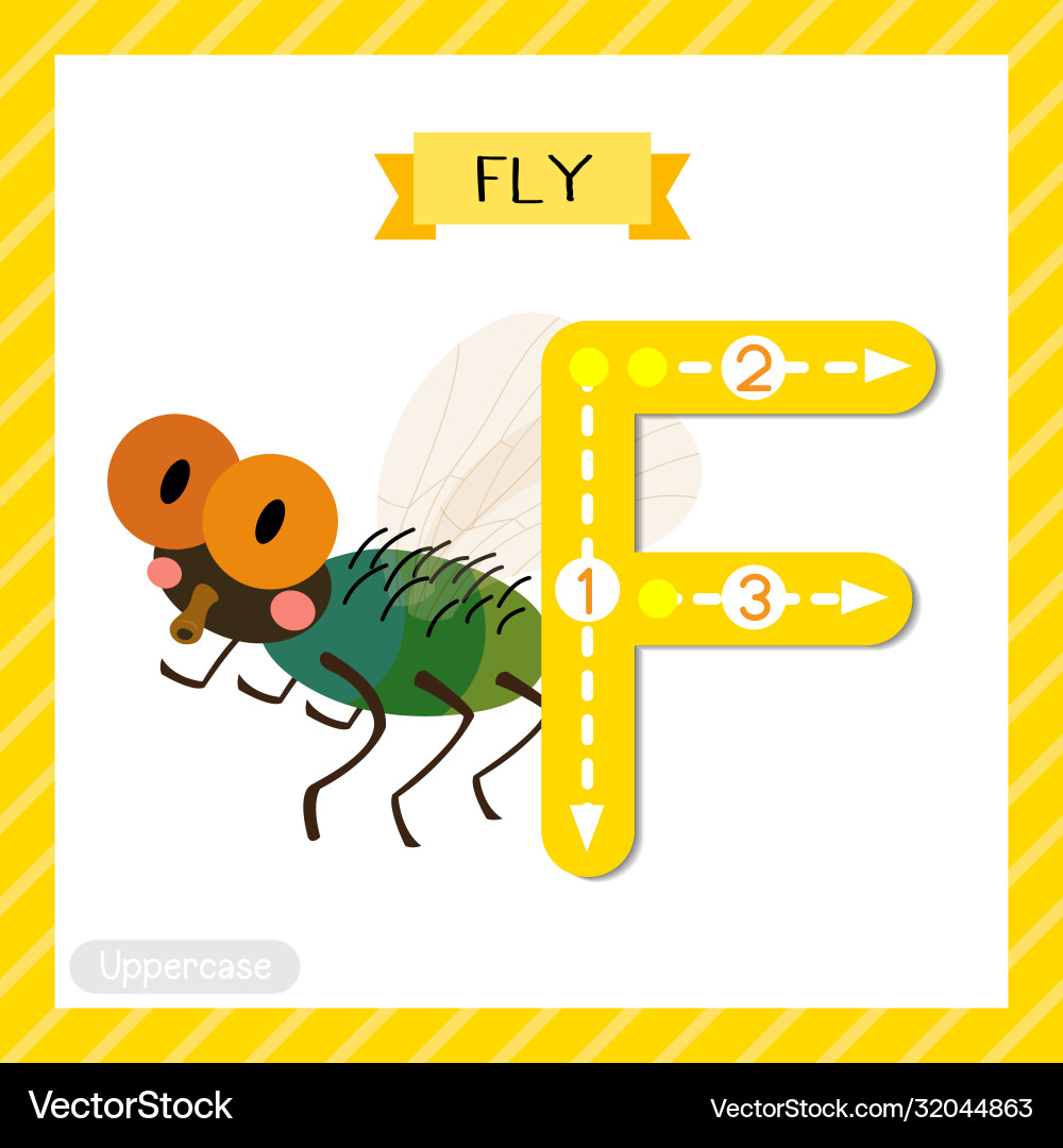 Letter f uppercase tracing fly Royalty Free Vector Image