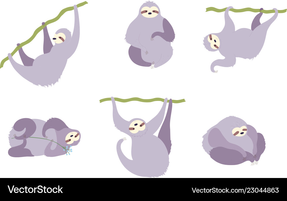 Set of cute character sloth Royalty Free Vector Image