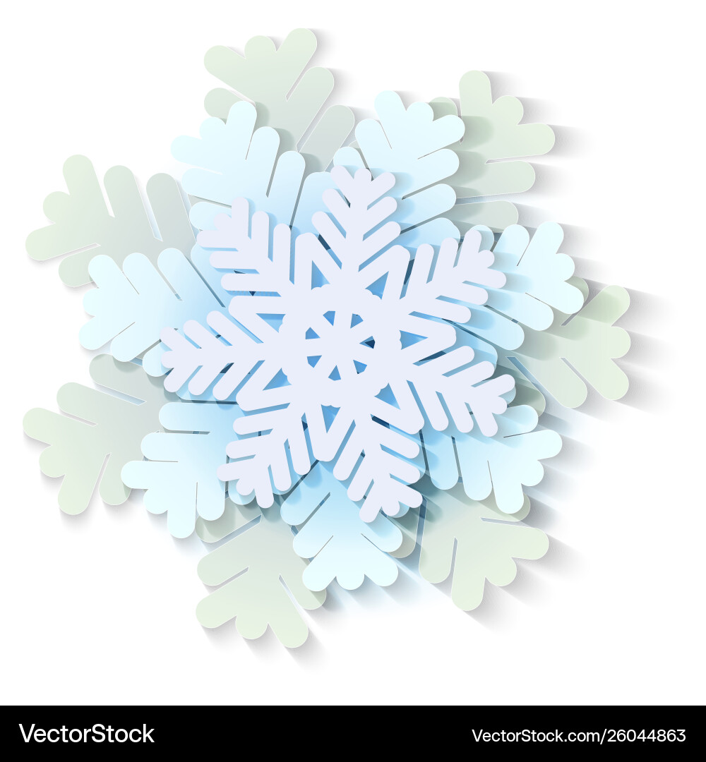 White and blue christmas paper snowflake Vector Image
