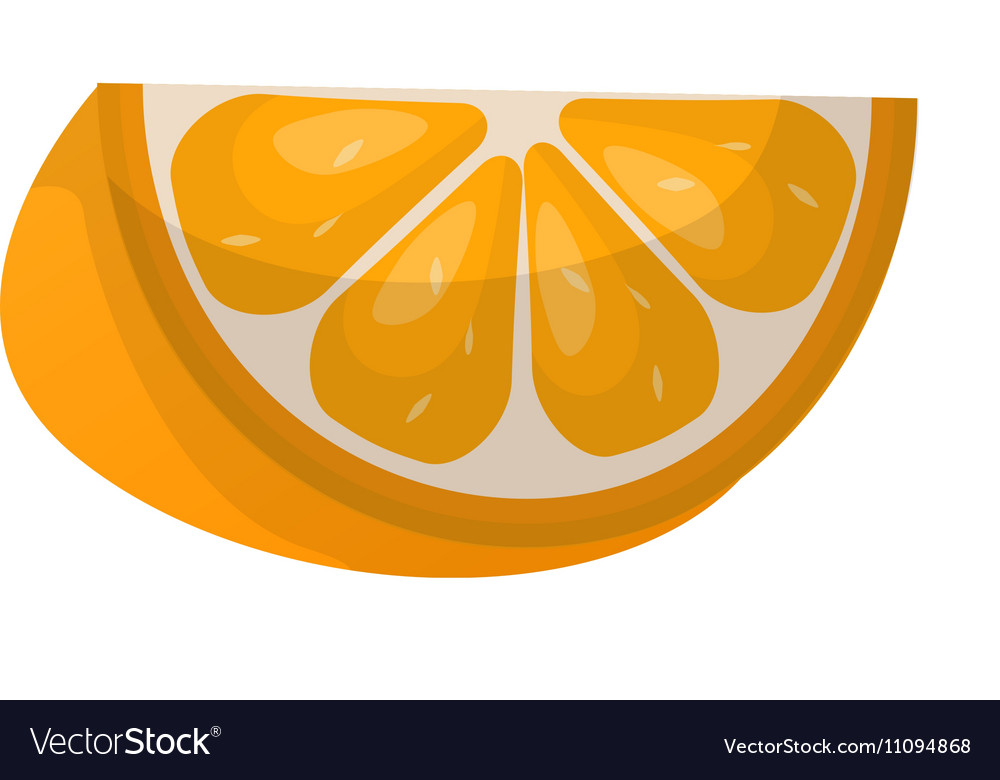 Orange slice Royalty Free Vector Image - VectorStock