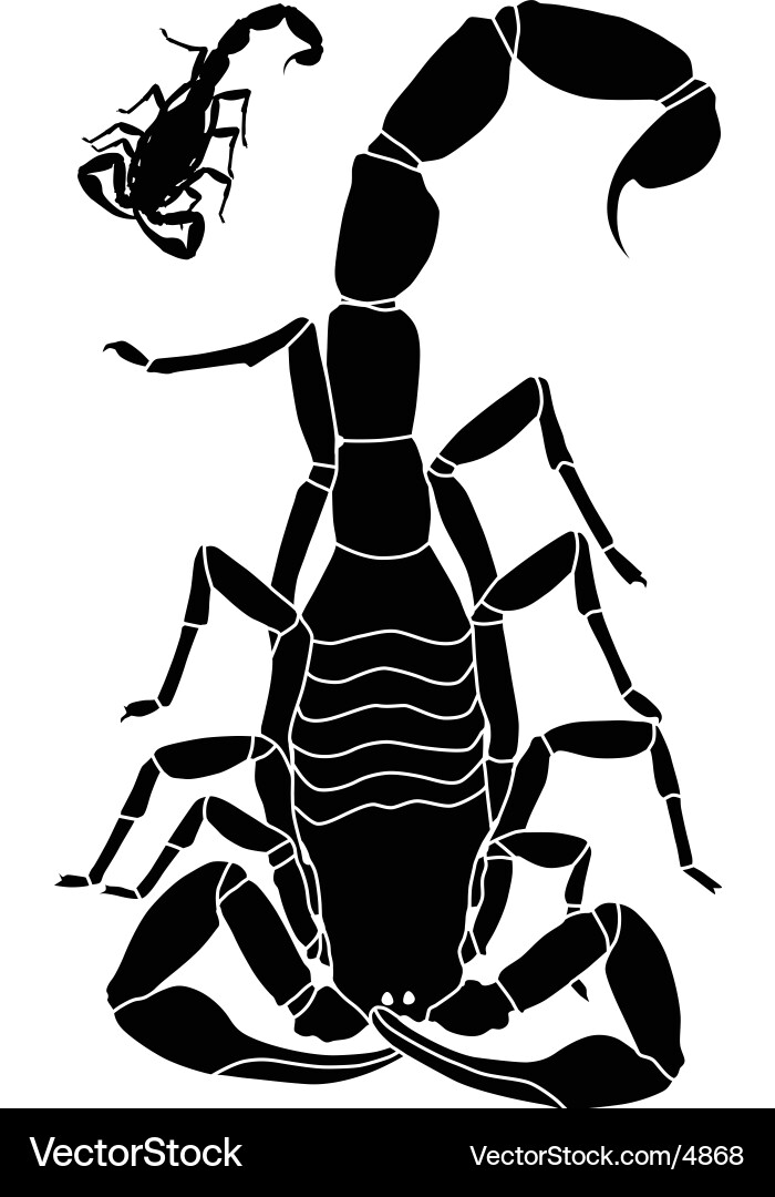 Scorpion Royalty Free Vector Image - VectorStock