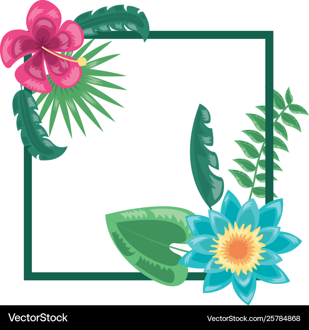Tropical flowers leaves frame decoration Vector Image