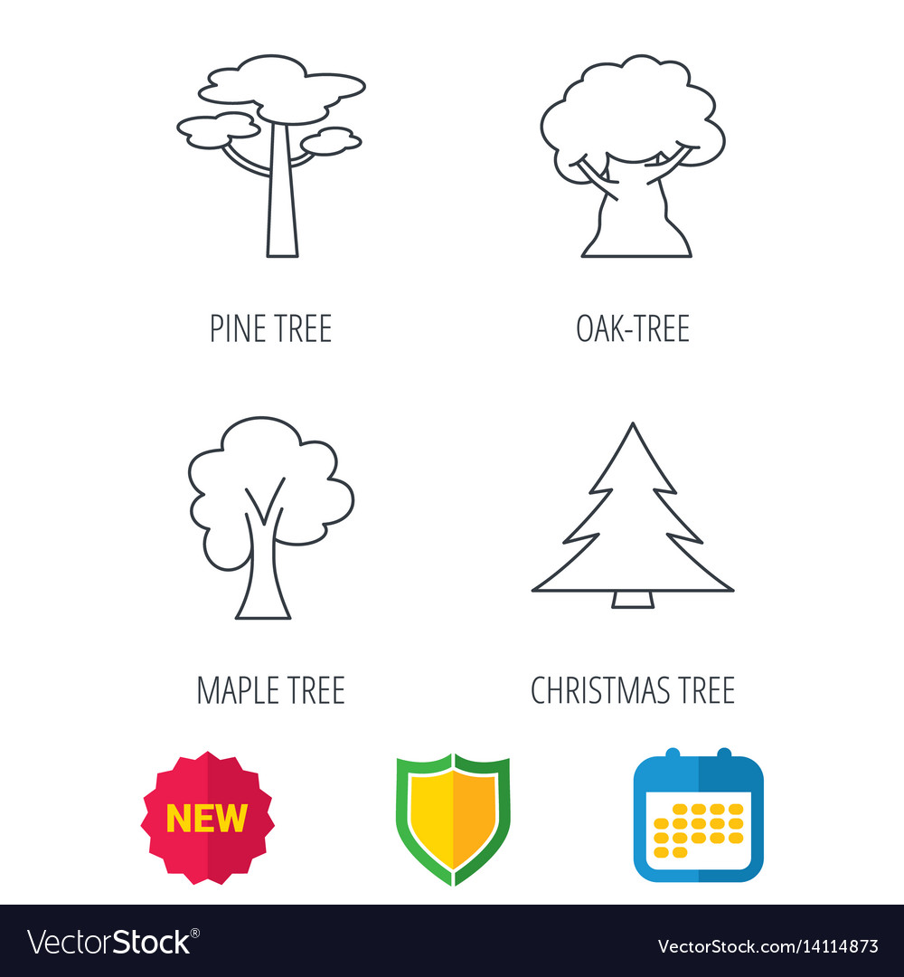Pine tree maple and oak-tree icons Royalty Free Vector Image