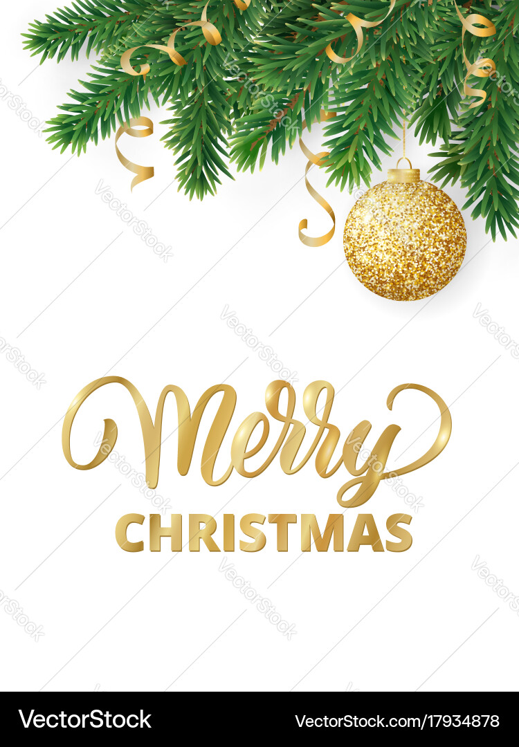 Greeting card with fir tree branches hanging Vector Image