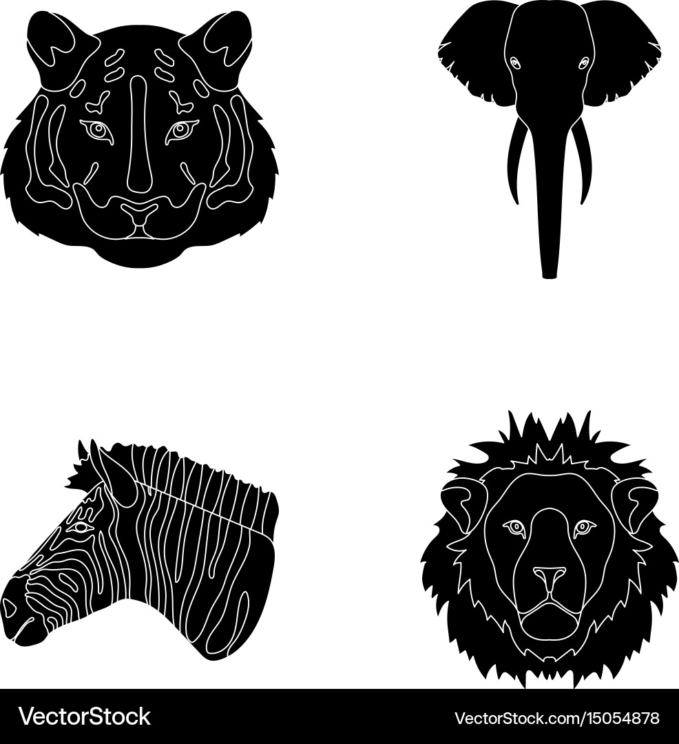 Tiger lion elephant zebra realistic animals Vector Image