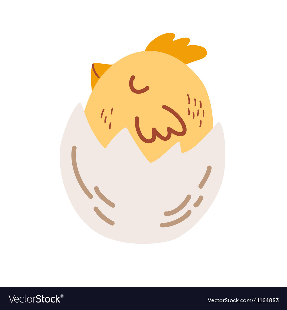 Chicken hatched from the egg nestling hatched Vector Image
