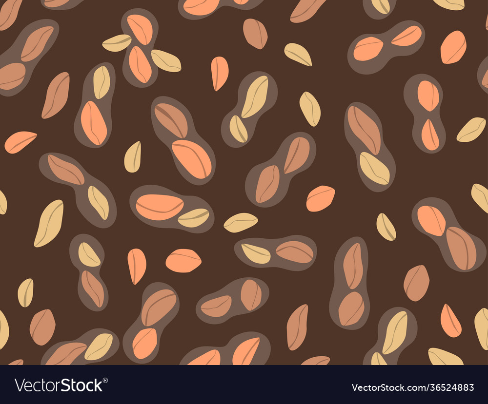 Peanut seamless pattern roasted peanuts in shell Vector Image