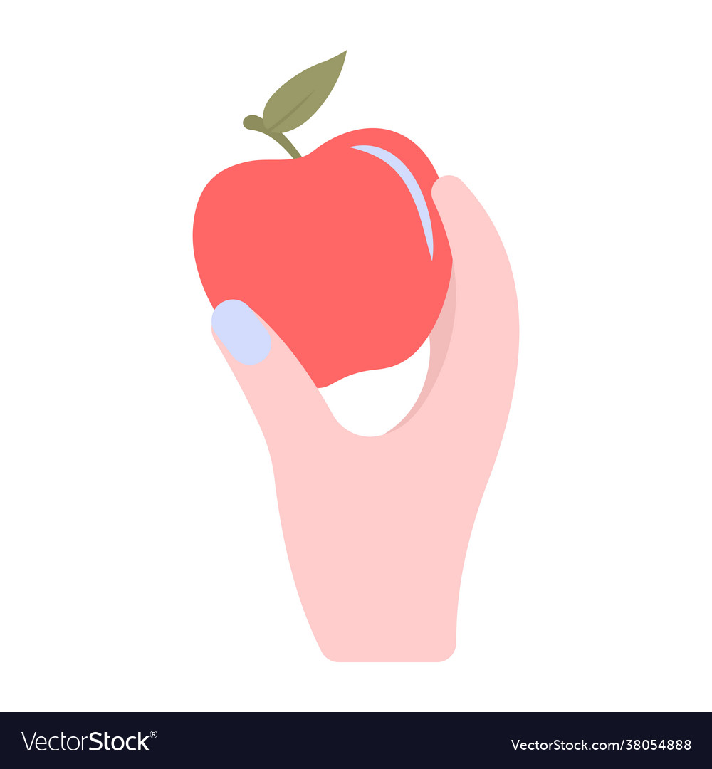 Healthy diet Royalty Free Vector Image - VectorStock