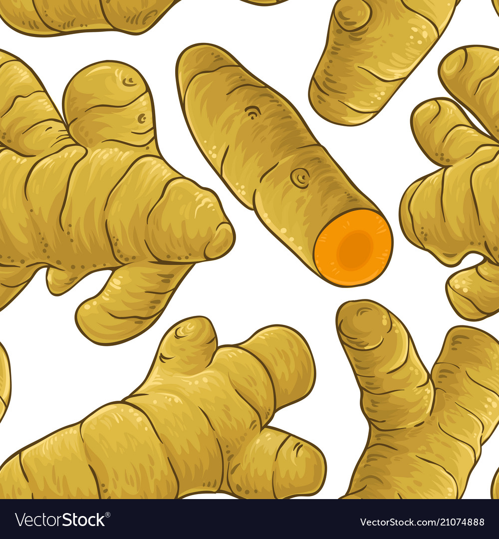 Turmeric pattern Royalty Free Vector Image - VectorStock