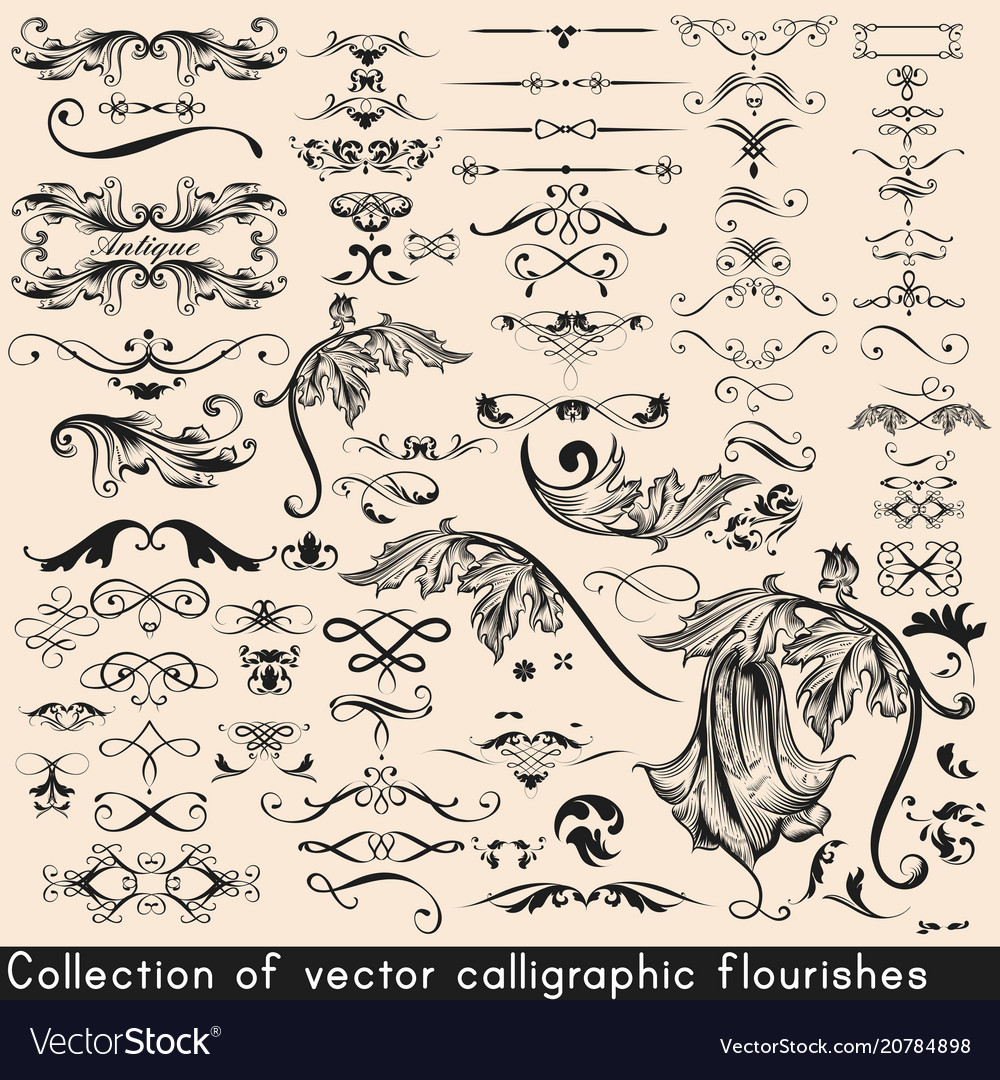 Collection or set of vintage flourishes Royalty Free Vector Collection or set of vintage flourishes Royalty Free Vector
