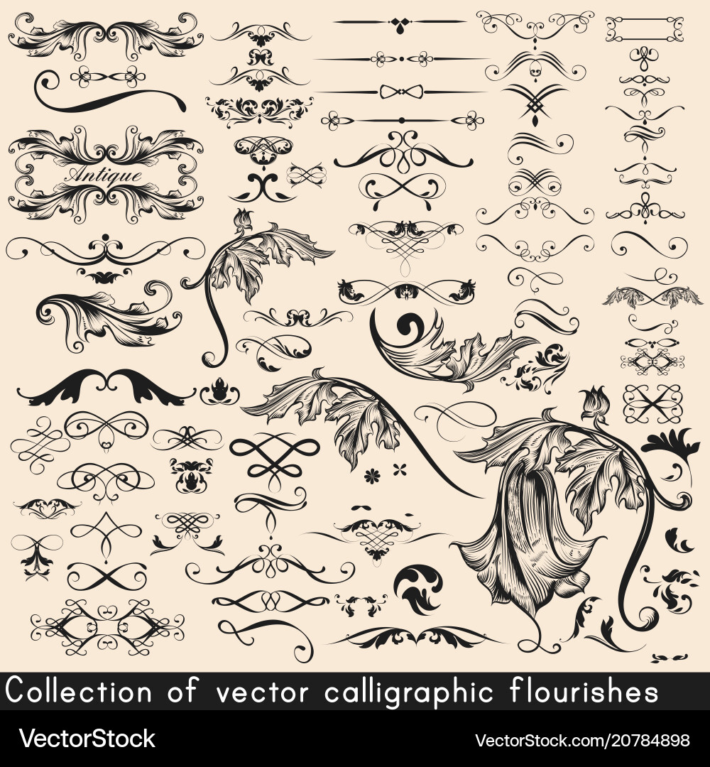 Collection or set vintage flourishes Royalty Free Vector