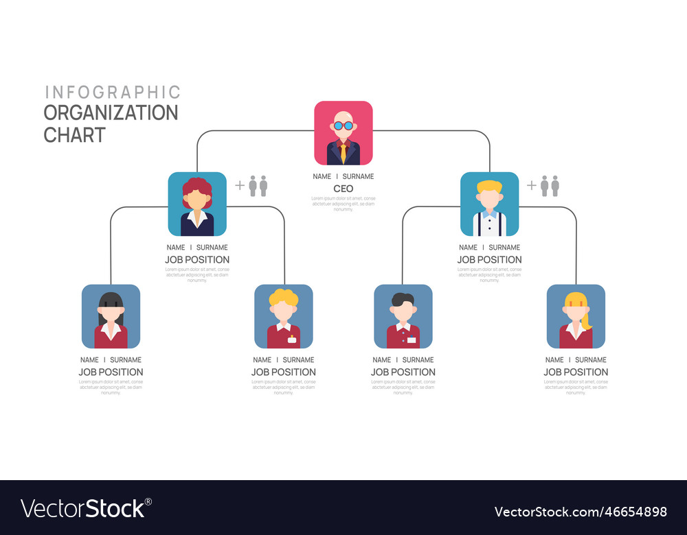 Infographic template for organization chart Vector Image