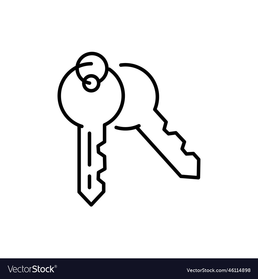 Key isolated minimal icon for websites and mobile Vector Image