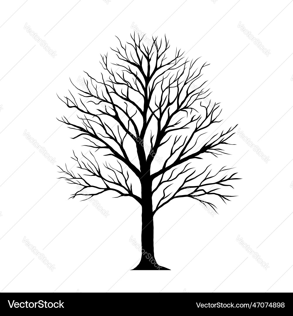 Silhouette of a hand drawn tree Royalty Free Vector Image