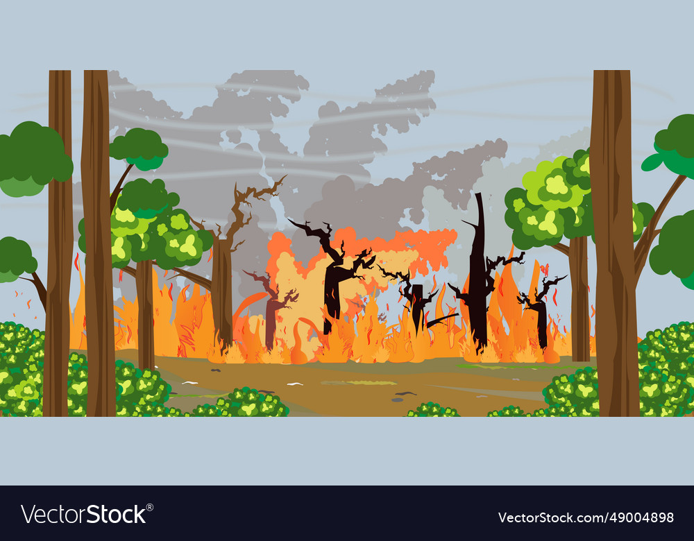 Wildfire burning in natural disaster concept Vector Image