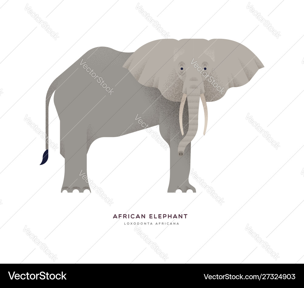 African elephant wild animal isolated background Vector Image
