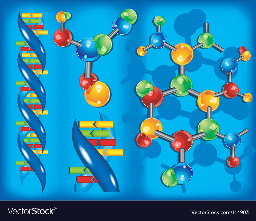 Molecule dna Royalty Free Vector Image - VectorStock