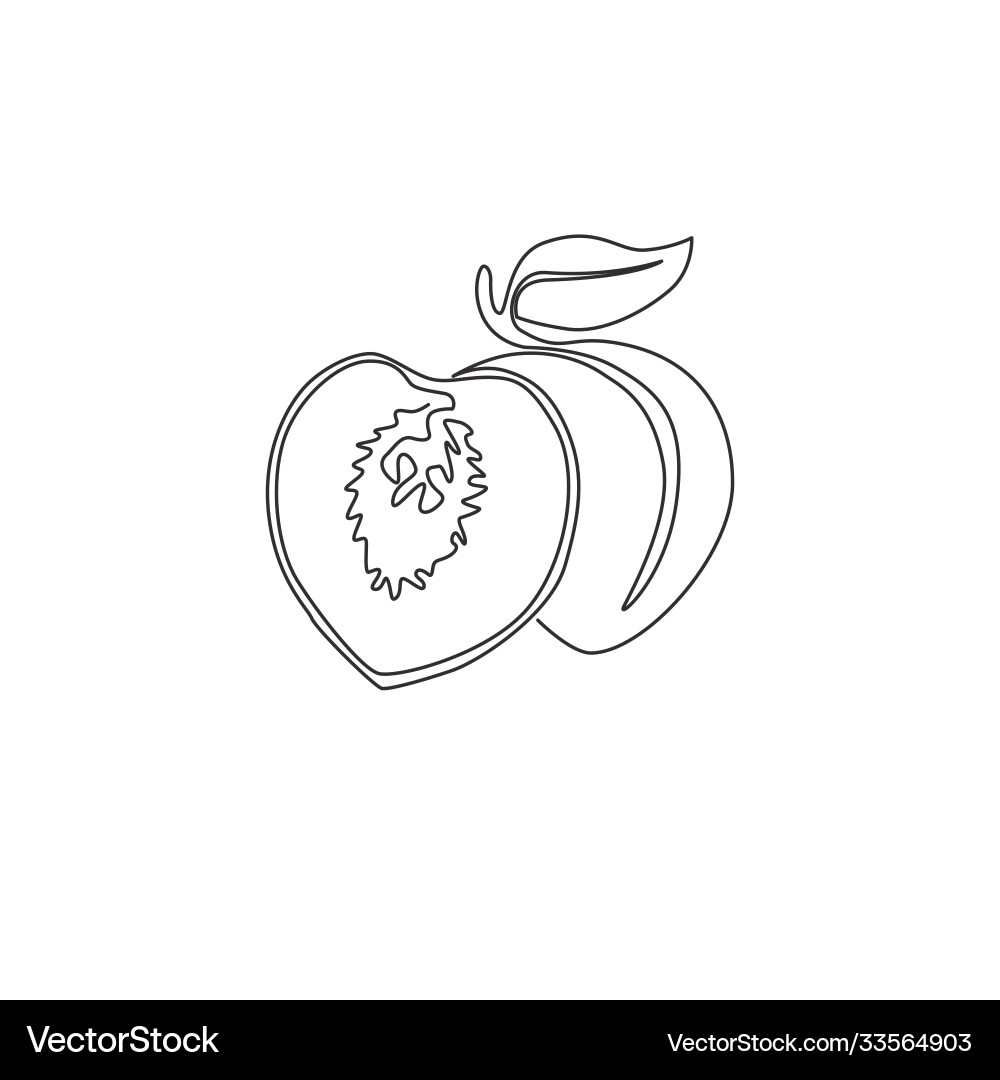 One single line drawing whole and sliced healthy Vector Image