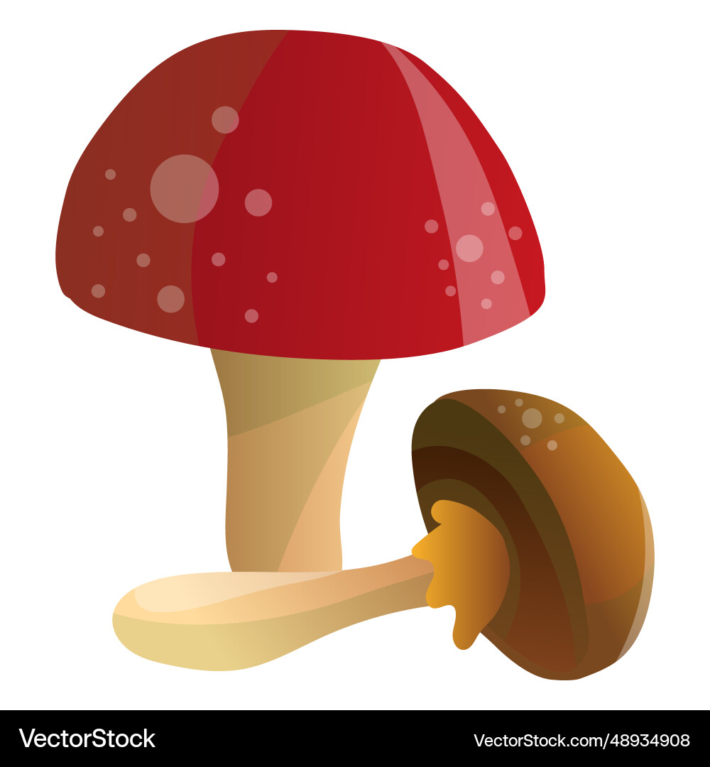 Mushrooms Royalty Free Vector Image - VectorStock
