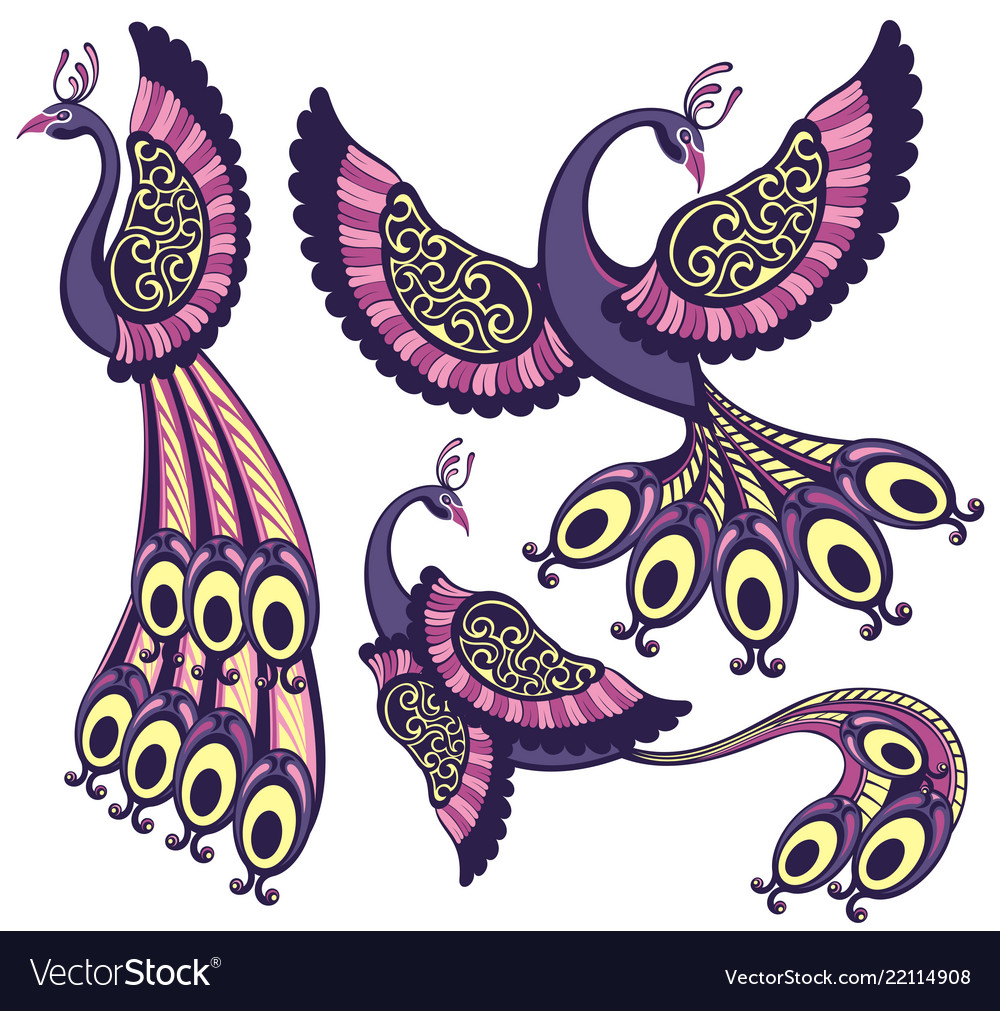Peacock Royalty Free Vector Image - VectorStock