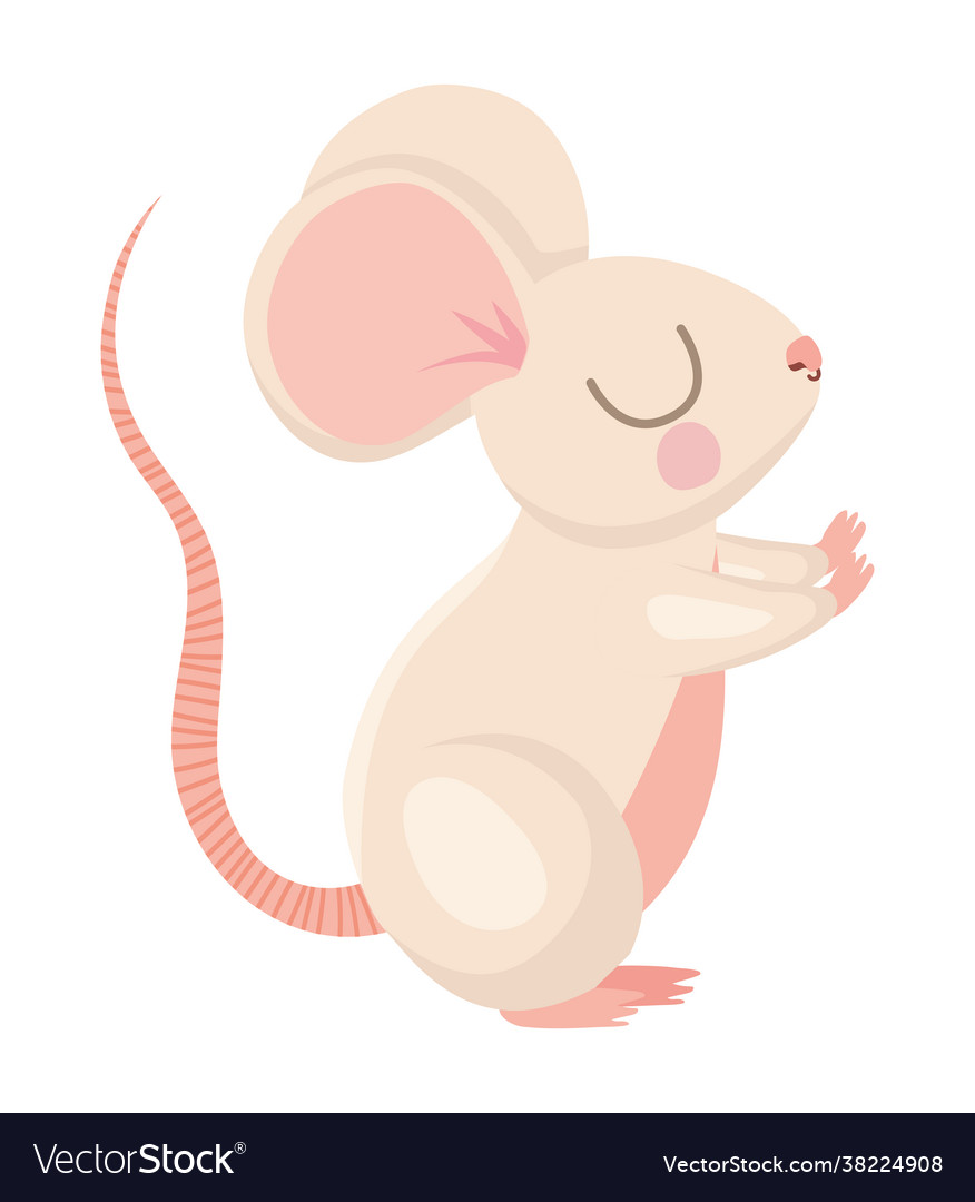 Pretty mice representation Royalty Free Vector Image