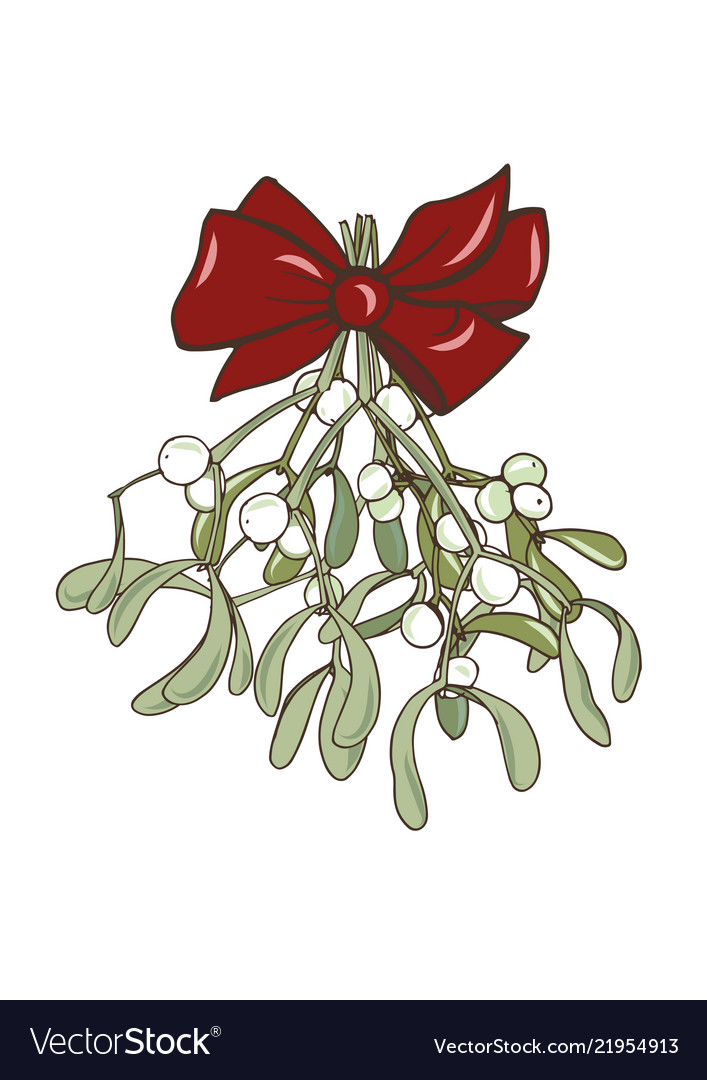 Mistletoe Royalty Free Vector Image - VectorStock