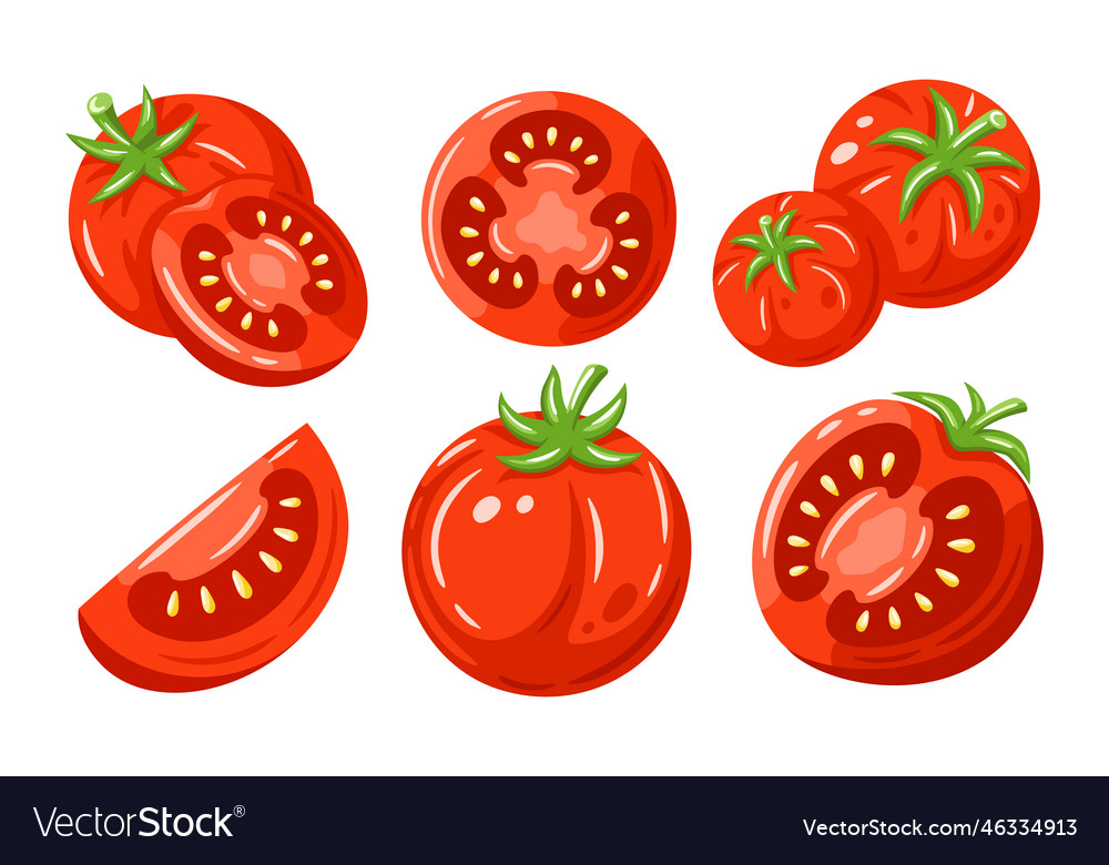 Red tomatoes collection Royalty Free Vector Image